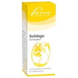 Pascoe Solidago Similiaplex Tropfen 50 ml