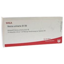 Dr. Hauschka Vesica Urinaria GL D 5 Ampullen 10X1 ml