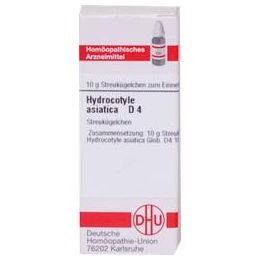 DHU-Arzneimittel Hydrocotyle asiatica D 4 Globuli 10 g