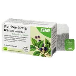Brombeerblättertee Kräutertee Bio Salus Filterbtl. 15 St