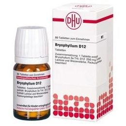 DHU-Arzneimittel Bryophyllum D 12 Tabletten 80 St