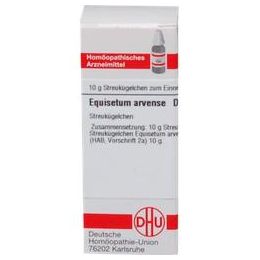 DHU-Arzneimittel Equisetum Arvense D 6 Globuli 10 g