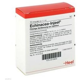 Heel Echinacea Injeel Ampullen 10 St