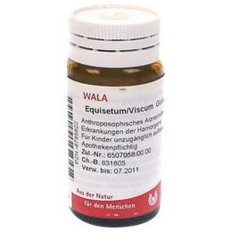 Dr. Hauschka Equisetum/Viscum Globuli 20 g