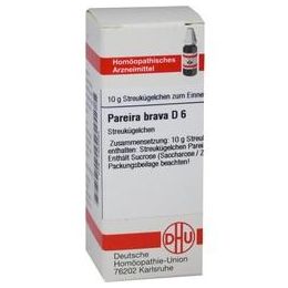 DHU-Arzneimittel Pareira Brava D 6 Globuli 10 g