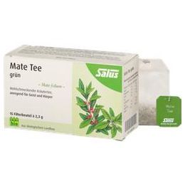 Mate TEE grün Kräutertee Mate folium Bio Salus 15 St