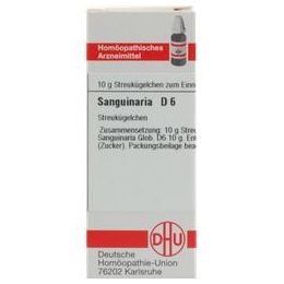 DHU-Arzneimittel Sanguinaria D 6 Globuli 10 g