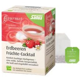 Erdbeeren Früchtecocktail Salus Filterbeutel 15 St