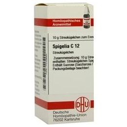 DHU-Arzneimittel Spigelia C 12 Globuli 10 g
