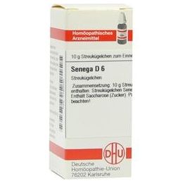 DHU-Arzneimittel Senega D 6 Globuli 10 g