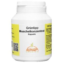 Allpharm Grünlippmuschel Konzentrat 500 mg Kapseln 120 St