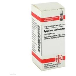DHU-Arzneimittel Syzygium Jambolanum D 2 Globuli 10 g