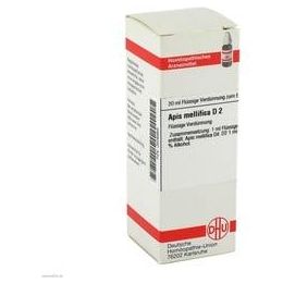 DHU-Arzneimittel Apis Mellifica D 2 Dilution 20 ml