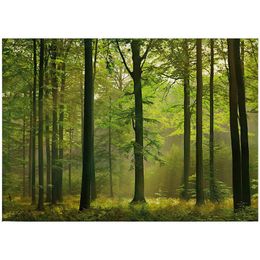 Leinwandbild Bäume Blätter 50 x 70 cm - Wandbild Wald Grün Braun - Keilrahmen Laubwald Wohnzimmerdeko Wanddeko Wandgemälde - Grün, Braun