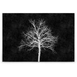 Leinwandbild Bäume Wald 60 x 90 cm - Wandbild Schwarz Weiß Baum Tadessi Leinwandbild - Keilrahmen Wohnzimmerdeko Wanddeko Wandgemälde - Schwarz, Weiß