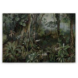 Leinwandbild Urwald 60 x 90 cm - Wandbild Dschungel Grün Wald - Keilrahmen Wohnzimmerdeko Wanddeko Wandgemälde - Grün