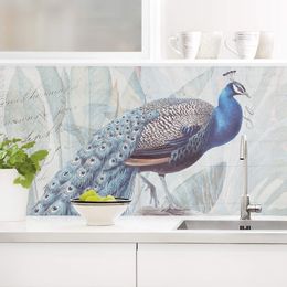 Küchenrückwand Shabby Chic Collage - Pfau