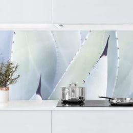 Küchenrückwand Blumen Agavenblätter