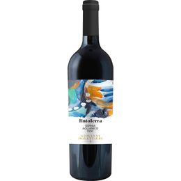 Giovanni Molettieri 2021 Tintoterra Aglianico Irpinia DOC trocken