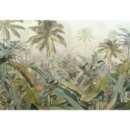 Vlies Fototapete Amazonia 368 x 248 cm Fototapeten & Poster - Komar