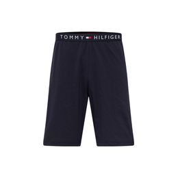 Tommy Hilfiger Underwear Pajama Pants male Blue size M