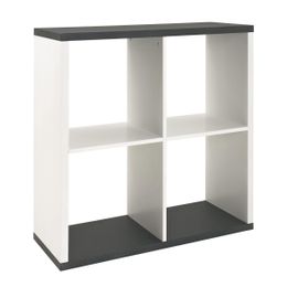 HAKU Regal Möbel Regal BHT 80x86x30 cm grau Standregal Bücherregal