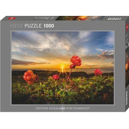 Heye Puzzle Cloudberries, 1000 Puzzleteile, Made in Germany, bunt