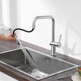 Auralum Hochdruck Küchenarmatur Ausziehbar Edelstahl Wasserhahn Küche Armatur Ausziehbar mit 2 Strahlarten, 360° Drehbar Spültischarmatur Einhebelmischer mit