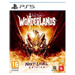 2K Games Tiny Tina's Wonderlands (Next Level Edition) - Sony PlayStation 5 - FPS - PEGI 16