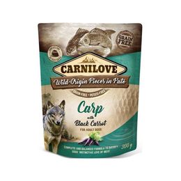 Carnilove Pouch Pate Carp with Black Carrot 300 g