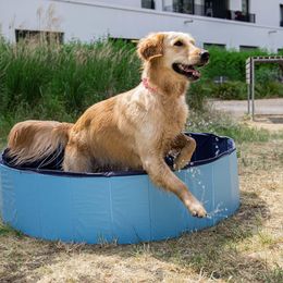 Pets Deli CoolPets Dog Pool - Medium