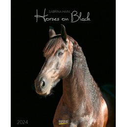Korsch Verlag Naturkalender Korsch Verlag Kalender Horses on Black 2024