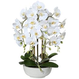 Kunstpflanze Orchidee Phalaenopsis Orchidee, Creativ green, Höhe 66 cm, in Keramikschale, weiß