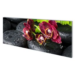 Wallario Wandgarderobe Dunkelrote Orchideen-Blüte auf schwarzen Steinen mit Regentropfen (1-teilig
