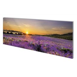 Wallario Wandgarderobe Sonnenuntergang über dem Lavendel (1-teilig