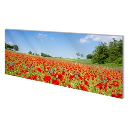 Wallario Wandgarderobe Mohnblumenfeld- rote Blumen unter blauem Himmel (1-teilig