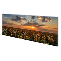 Wallario Wandgarderobe Sonnenblumenwiese vor Wolken mit Sonnenuntergang (1-teilig