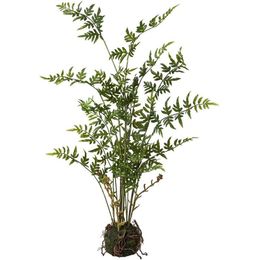 Künstliche Zimmerpflanze Farn im Ballen Farn, Creativ green, Höhe 79 cm, grün