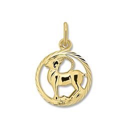 ONE ELEMENT Sternzeichenanhänger Steinbock Sternzeichen Anhänger aus 333 Gelbgold, Damen Gold Schmuck Steinbock, goldfarben