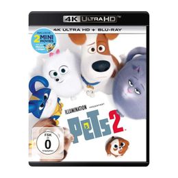 Universal Pets 2