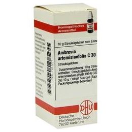 DHU-Arzneimittel Ambrosia Artemisiaefolia C 30 Globuli 10 g