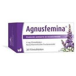 Hübner Agnusfemina 4 mg Filmtabletten 30 St