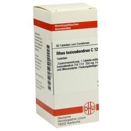 DHU-Arzneimittel Rhus Toxicodendron C 12 Tabletten 80 St