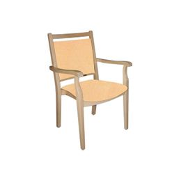 einrichtungsdesign24 Armlehnstuhl 4-Fußstuhl Holzstuhl mit Armlehnen André Seniorenstuhl Esszimmer