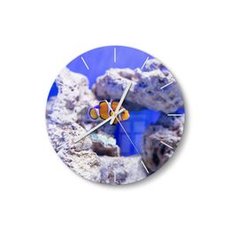 DEQORI Wanduhr 'Clownfisch im Meer' (Glas Glasuhr modern Wand Uhr Design Küchenuhr)