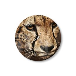 DEQORI Wanduhr 'Wunderschöner Gepard' (Glas Glasuhr modern Wand Uhr Design Küchenuhr)
