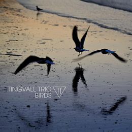 Birds (Digipak) - Tingvall Trio. (CD)