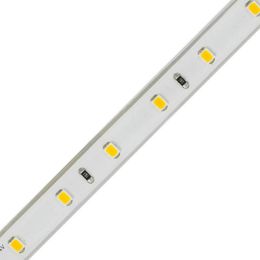 EVN Lichttechnik EVN STR6724 LED-Strip IP67 5m 24W 2.700K