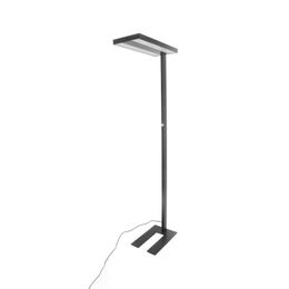 ARCCHIO LED-Office-Stehlampe Logan in Schwarz, dimmbar