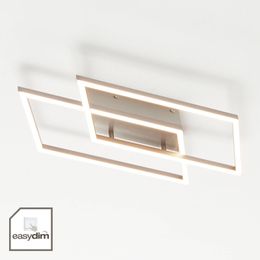Paul Neuhaus Zweiflammige LED-Deckenlampe Inigo Länge 53,8 cm